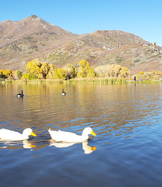underrated state parks utah ftr