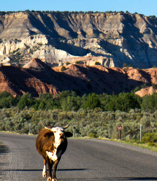 underrated utah state parks ftr