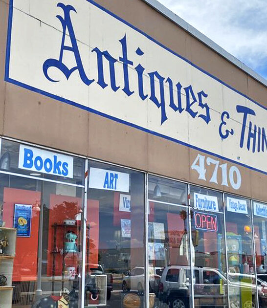 underrated vintage new mexico ftr