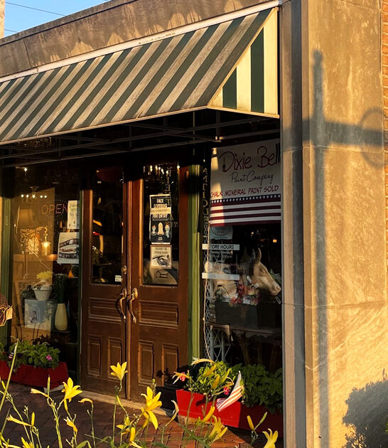 underrated vintage store illinois ftr