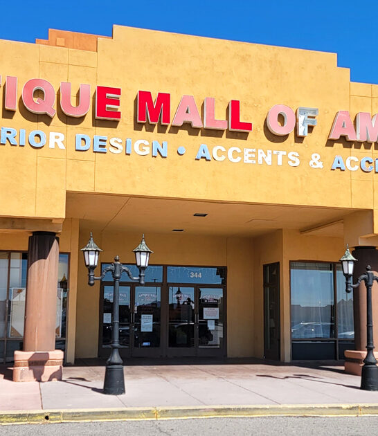 underrated vintage store nevada ftr