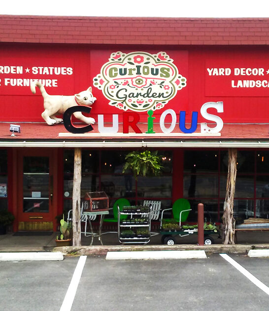 underrated vintage store texas ftr