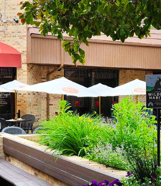 unforgettable italian restaurant colorado ftr