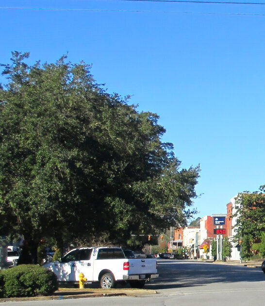 unforgettable small town alabama ftr