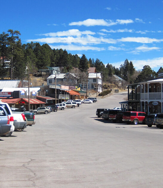 unique stores new mexico ftr