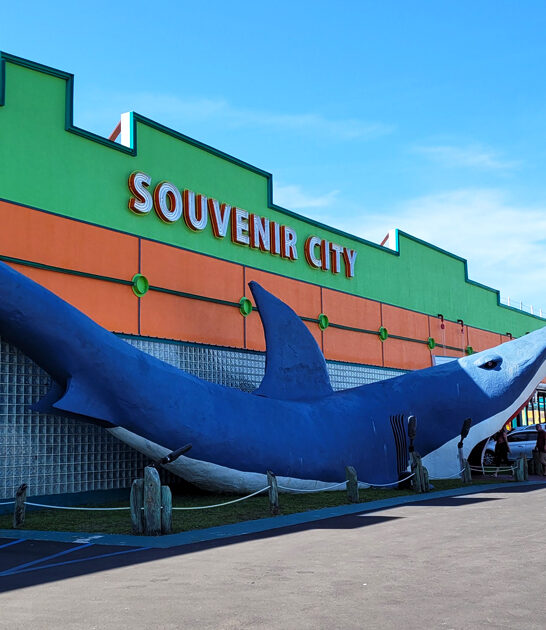 unique treasures shop alabama ftr