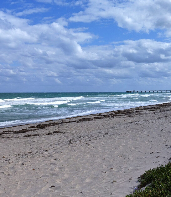 unnoticed florida state park ftr