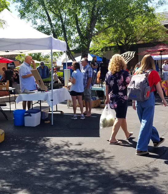 utah enormous bazaars ftr