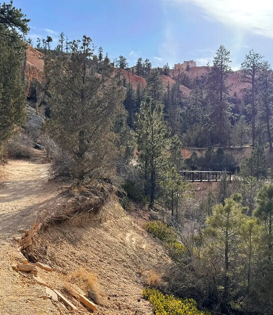 utah picturesque trail ftr