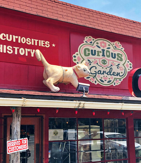 vintage store texas ftr