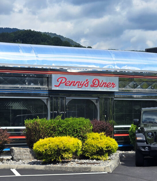 virginia diner milkshakes ftr