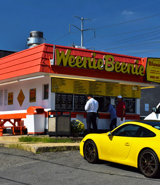 virginia hot dog joint ftr