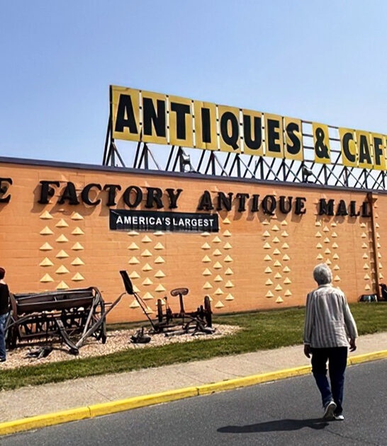 virginia market outrageous bargains ftr