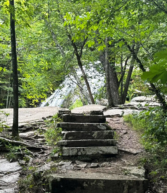 virginia picturesque trail ftr