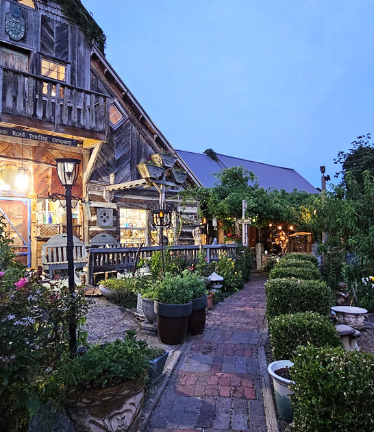 virginia ribeye steaks restaurant ftr