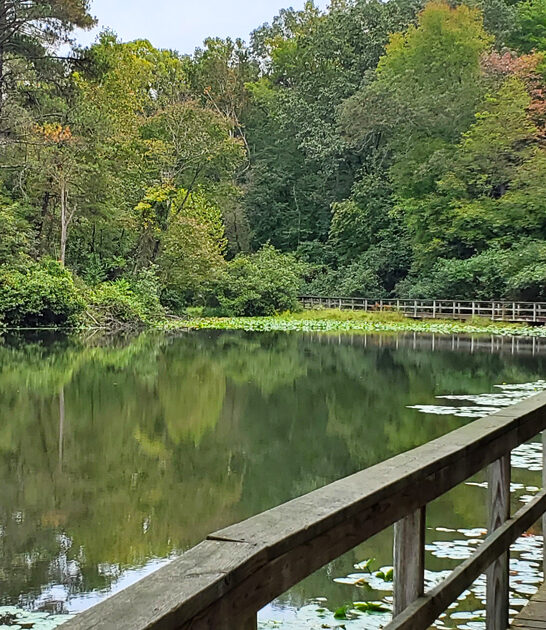 virginia state park visit ftr