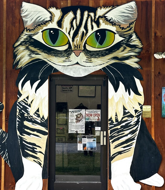 weird museum north carolina ftr