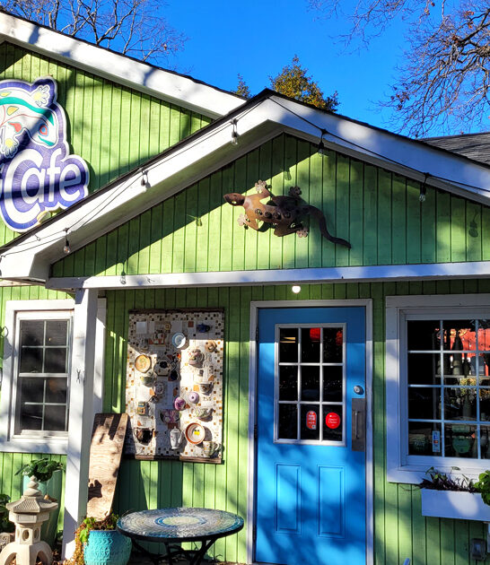 wonderfully wacky virginia restaurant ftr