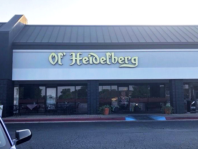 Tucked into a Huntsville strip mall, Ol' Heidelberg's modest exterior hides a culinary adventure that would make even the Black Forest proud.
