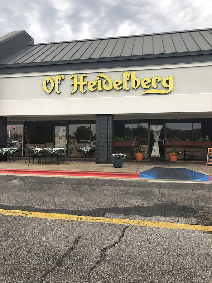The glowing yellow sign of Ol' Heidelberg beckons like a beacon of Bavarian bliss in this unassuming Huntsville strip mall. German comfort awaits inside!