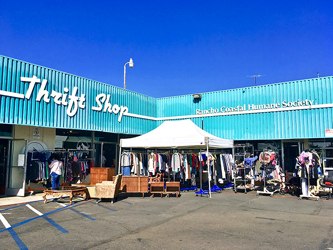 That turquoise facade isn't just eye-catching&mdash;it's a beacon for bargain hunters and animal lovers alike. The perfect California combo: thrifting with purpose. 