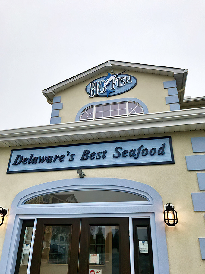 The blue and white checkered sign beckons like a coastal lighthouse, promising seafood treasures within this unassuming Rehoboth Beach institution.
