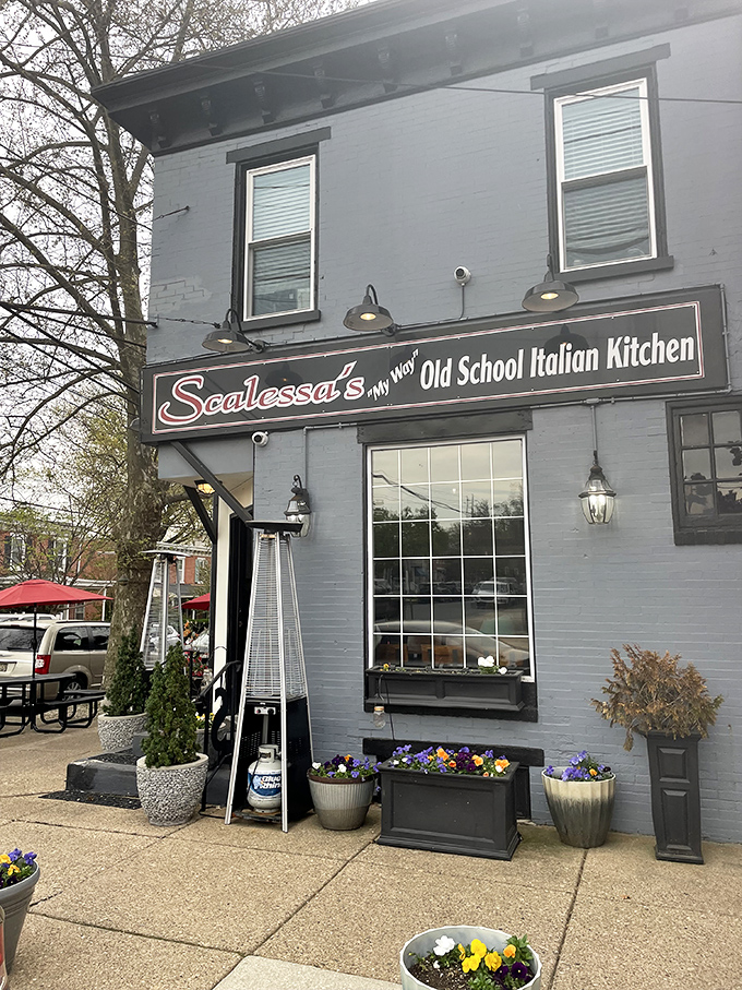 The blue-bricked charm of Scalessa's exterior, with its vibrant flower boxes and vintage lighting, promises an authentic Italian experience hiding in plain sight.