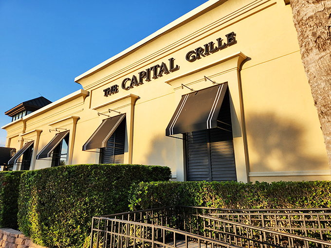 The iconic blue-canopied entrance guarded by regal lion statues promises an experience that's anything but ordinary. This is your gateway to carnivorous bliss.