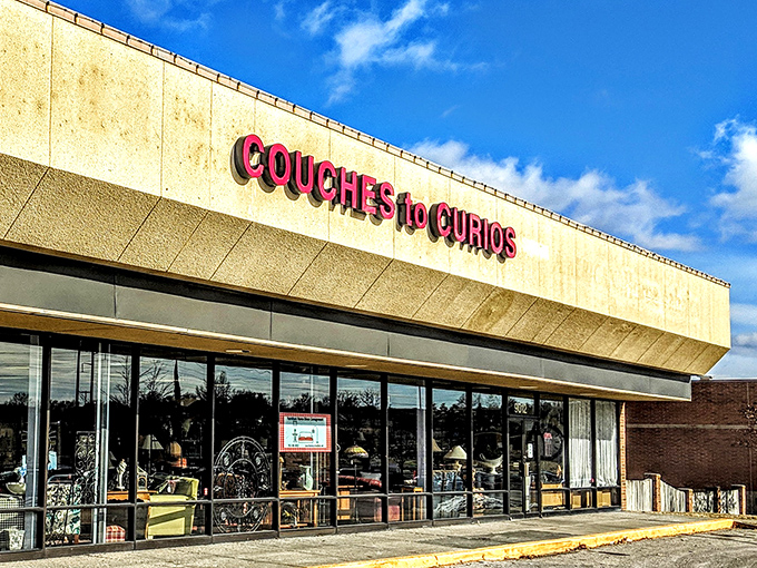 The unassuming storefront belies the wonderland within, like finding a portal to treasure-hunting heaven tucked between everyday suburban shops.