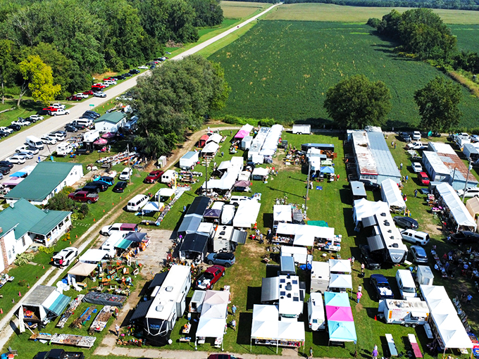 Treasure hunters navigate the grassy pathways between vendor stalls, where yesterday's castoffs await their second chance at usefulness and beauty.