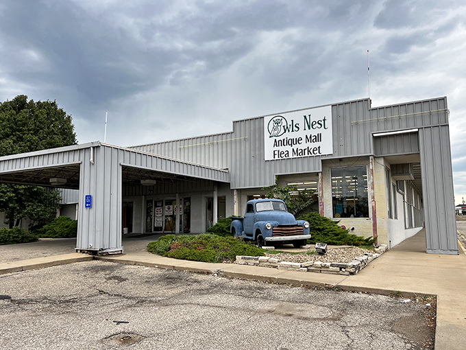 The classic blue pickup truck stands sentinel outside Owls Nest, like a time-traveling greeter announcing: "Treasures await inside, fellow hunters!"
