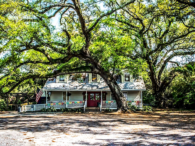 The Juke Joint's charming exterior welcomes you like an old friend, with sprawling oak trees providing nature's perfect canopy for this Mississippi treasure.