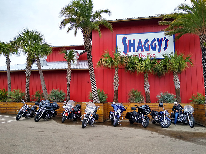 The vibrant red exterior of Shaggy's stands out like a cheerful beacon, promising coastal delights with palm trees that whisper, "Vacation starts here."