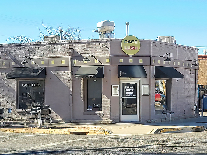 The unassuming corner building that houses Cafe Lush might not stop traffic, but locals know this modest exterior hides breakfast treasures worth setting alarms for.