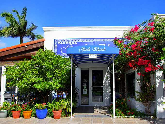 The blue and white exterior of Greek Islands Taverna stands like a Mediterranean mirage among Fort Lauderdale's high-rises. A perfect postcard from Greece without the jet lag.