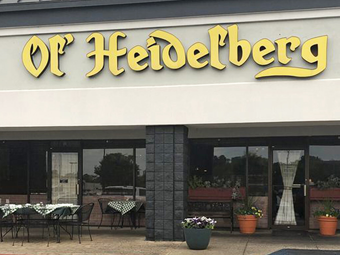 Tucked into a Huntsville strip mall, Ol' Heidelberg's modest exterior hides a culinary adventure that would make even the Black Forest proud.