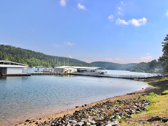 Nature's perfect frame! Tall pines stand sentinel around crystal-clear waters, offering a glimpse of what paradise must look like on a sunny Arkansas afternoon.