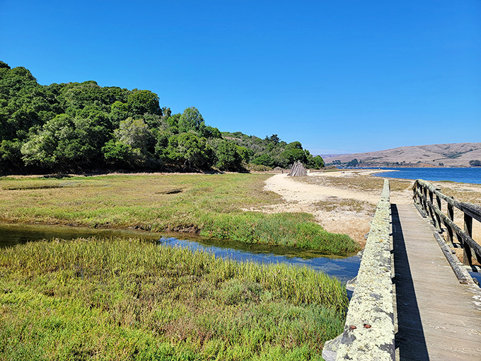 Heaven meets earth at Heart's Desire Beach, where golden sands kiss the calm waters of Tomales Bay. Nature's perfect postcard moment awaits.