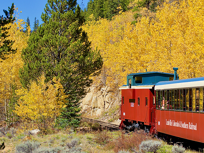 The Leadville, Colorado & Southern Railroad cuts through a golden aspen grove, nature's way of saying "autumn in the Rockies" is worth the climb to 10,000+ feet.