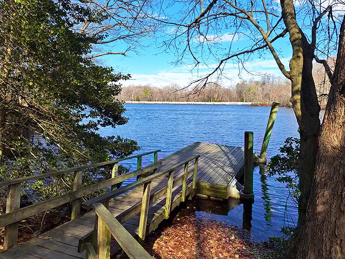 The millpond's glassy surface perfectly mirrors the sky above, creating nature's own infinity pool in the heart of Delaware.