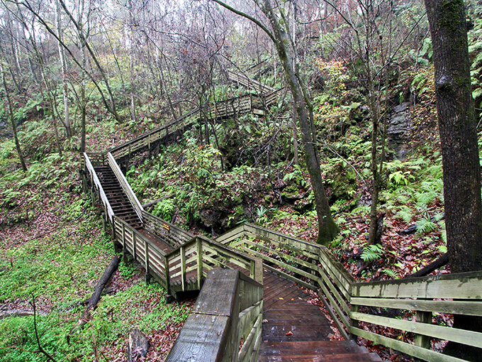 The wooden boardwalk beckons you into a world that feels more Pacific Northwest than Florida. Nature's invitation to adventure awaits.