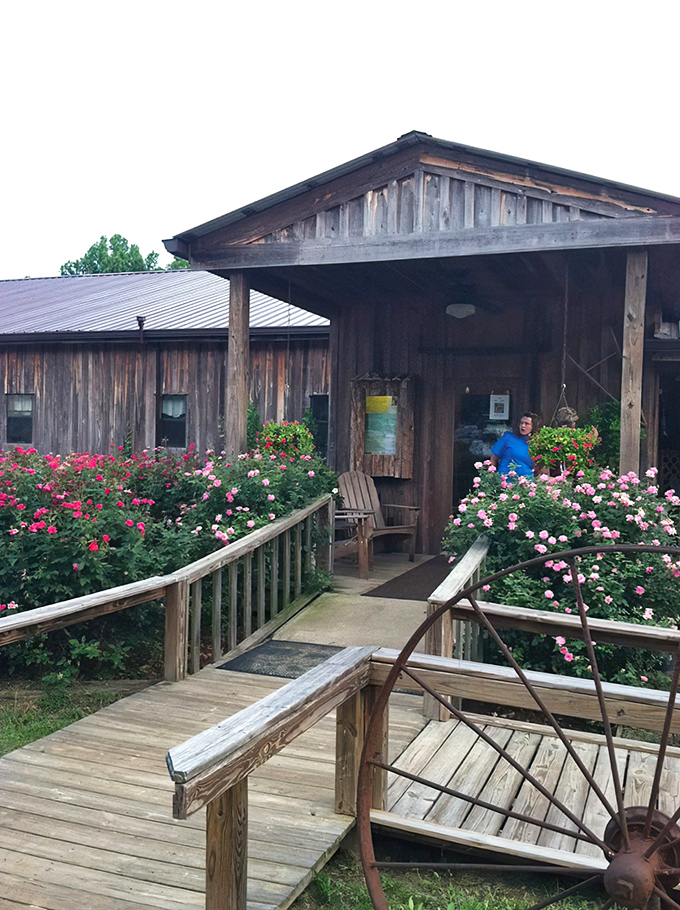 The unassuming wooden exterior of Cedar Lane Supper Club might fool you, but locals know this rustic hideaway houses some of Georgia's finest dining treasures.