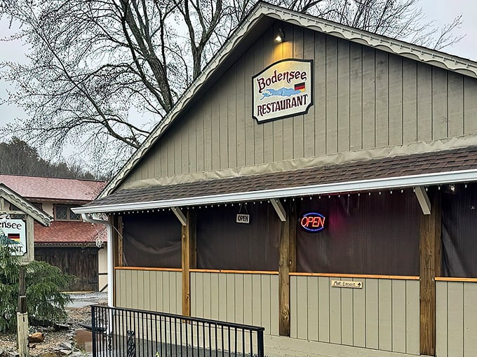 Bodensee's unassuming exterior might not scream "culinary destination," but like all great food adventures, the magic happens once you step through those doors.