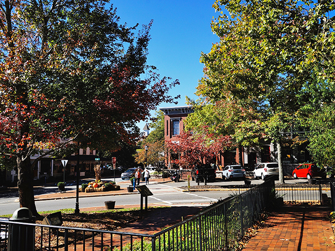 Dahlonega's historic square welcomes visitors with brick-lined streets and charming storefronts that look like they're waiting for a movie crew to yell "action!"