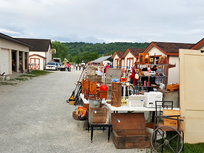 The treasure hunt begins! White's Farm's charming exterior promises a day of discoveries that'll make your inner collector do a happy dance.