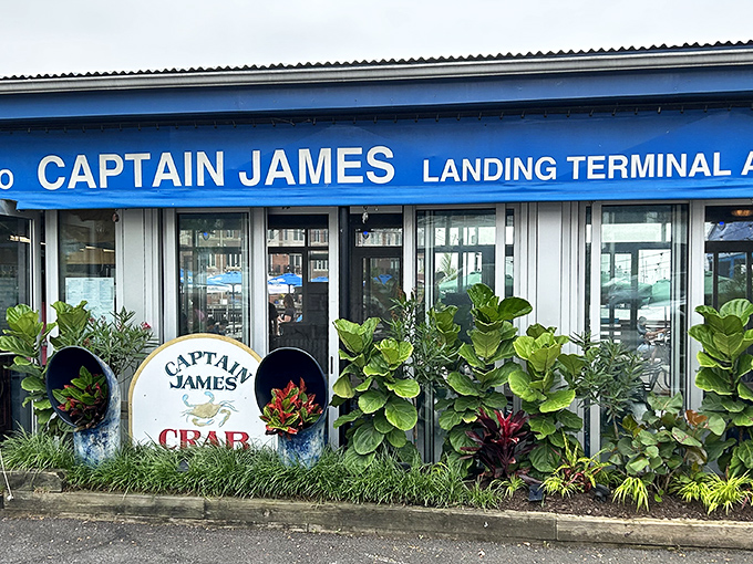 Ship ahoy on dry land! Captain James restaurant might be the only vessel in Baltimore where seasickness isn't on the menu.