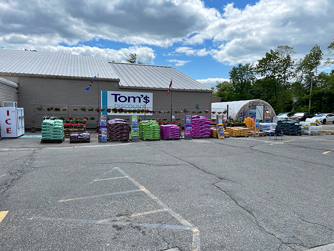 The unassuming exterior of Tom's Discount Store &ndash; where retail magic happens without the fancy wrapping. Bargain paradise awaits!