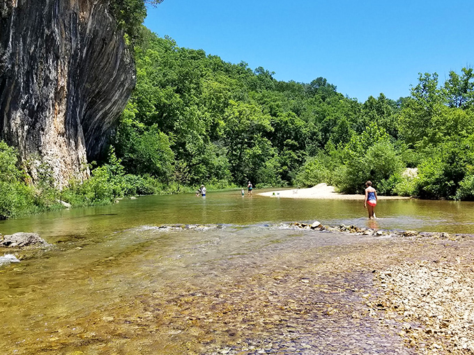 The towering limestone face of Echo Bluff stands like nature's skyscraper, reflecting millions of years of geological patience. Crystal-clear Sinking Creek invites you to wade in its refreshing embrace.