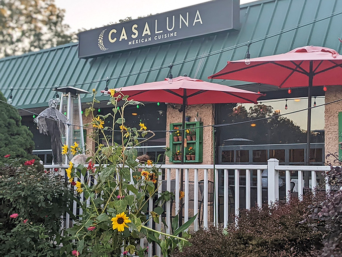 The welcoming patio at Casa Luna beckons like a culinary oasis in Somerville, where vibrant umbrellas and sunflowers promise Mexican delights inside.