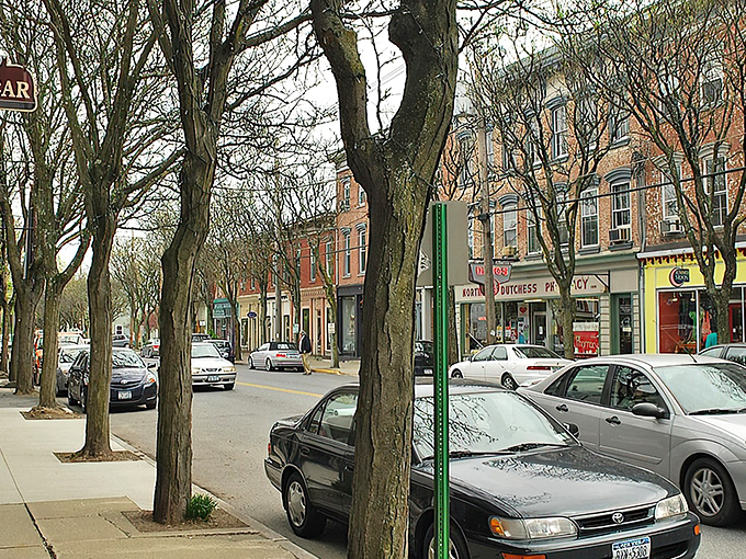 Downtown Rhinebeck bustles with shoppers and locals alike, where historic brick buildings frame a scene that feels like stepping into a kinder, gentler America.